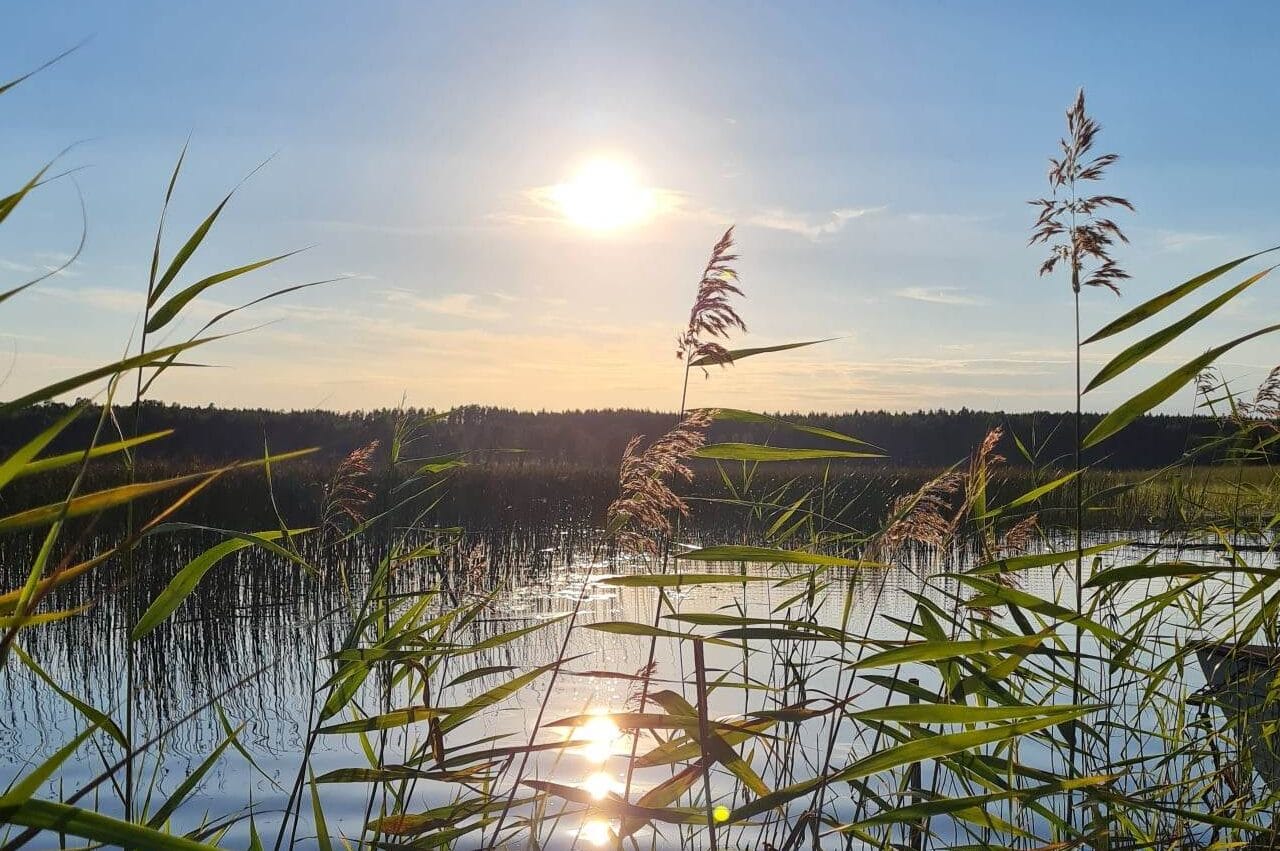 Sommartider på Miljöhälsan! - Miljöhälsan